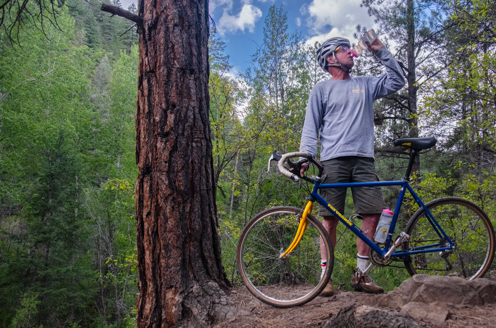 Iris Stainless Steel – King Cage