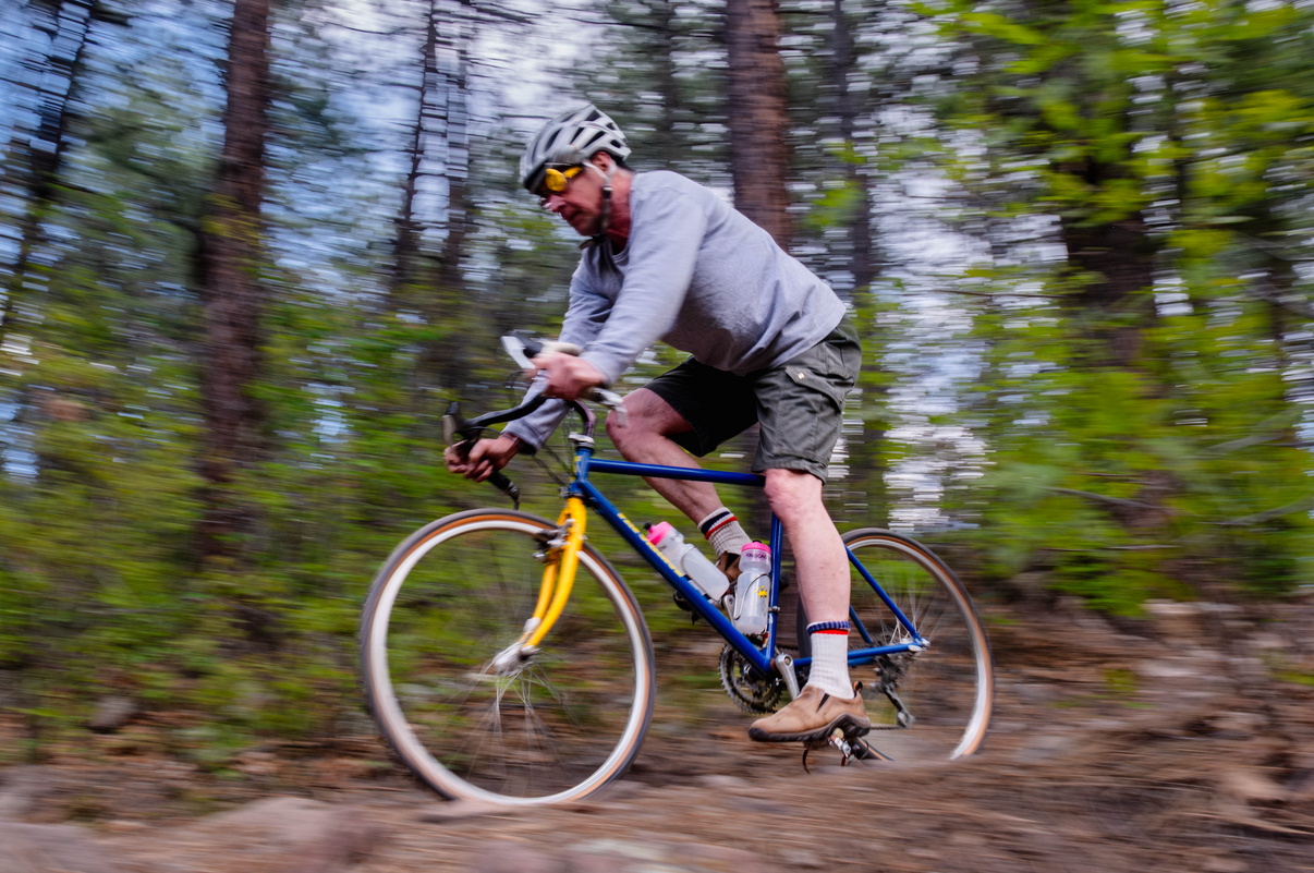 Iris Stainless Steel – King Cage